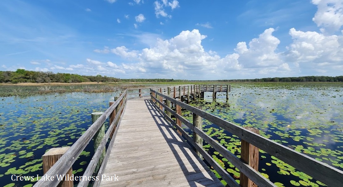 Lot For Sale - MOONLAKE ESTATES UNIT 11 Pasco FL - 0.364 acres ...