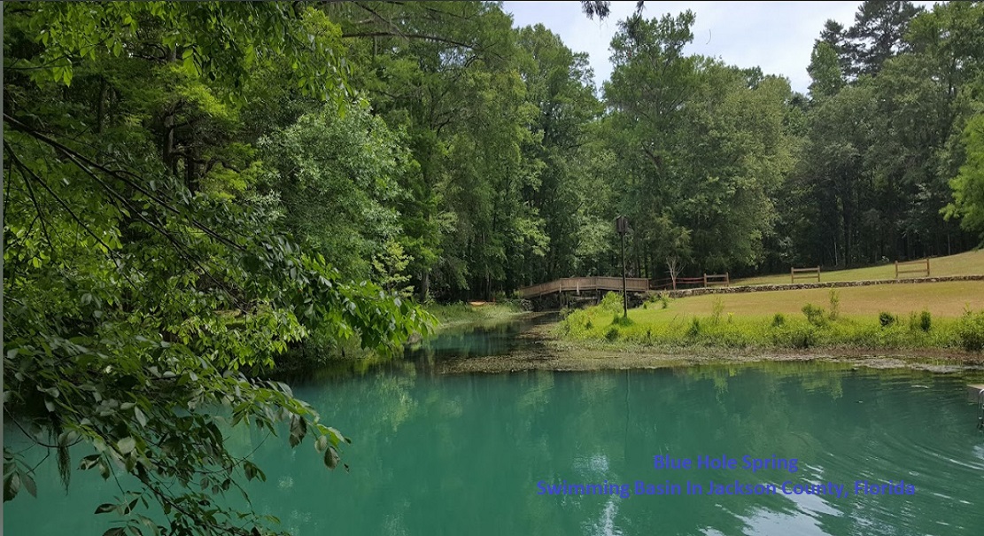 Lot For Sale - Compass Lake Hills Jackson FL - 1.220 acres, ATV ...