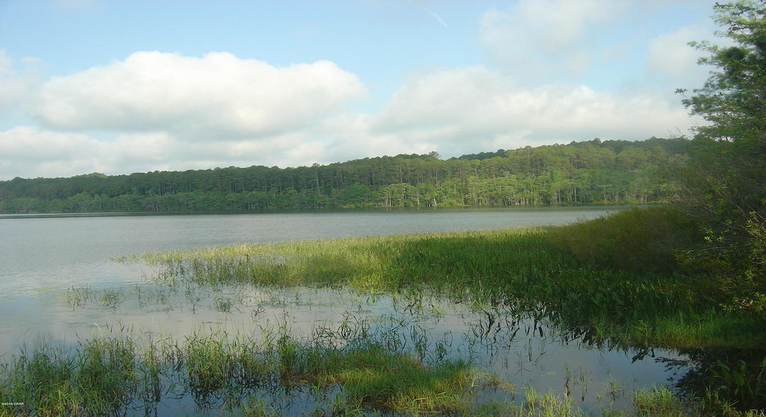 Lot For Sale - Compass Lake Hills (District 17) Jackson FL - 1.130 ...