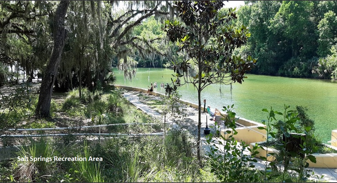 Lot For Sale - Interlachen Lakes Estates Msbu Putnam FL - 0.220 acres ...